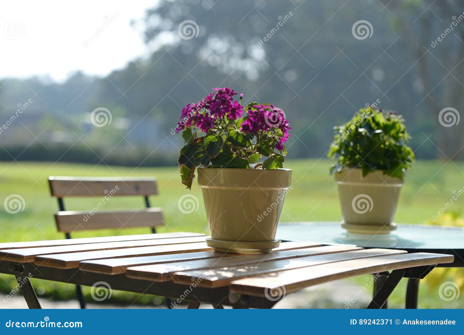 Flower on table stock image. Image of desk, wall, concept - 89242371