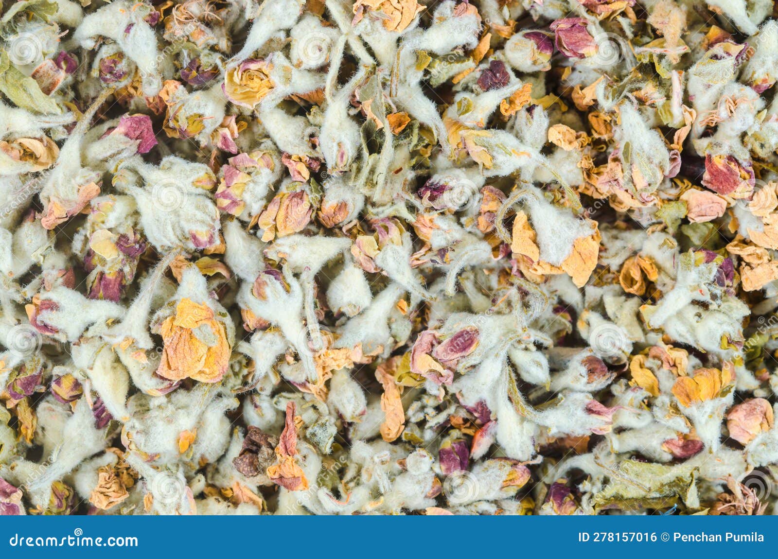 The Flower Tea. Dried of Apple Blossom Textured Stock Photo - Image of ...