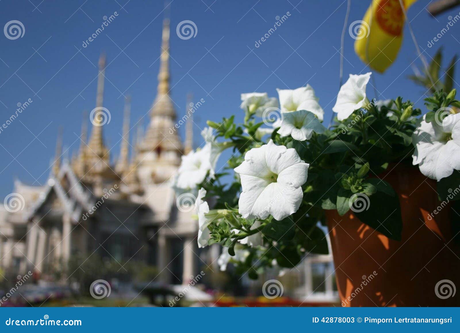 Flower in temple stock image. Image of temple, thailand - 42878003
