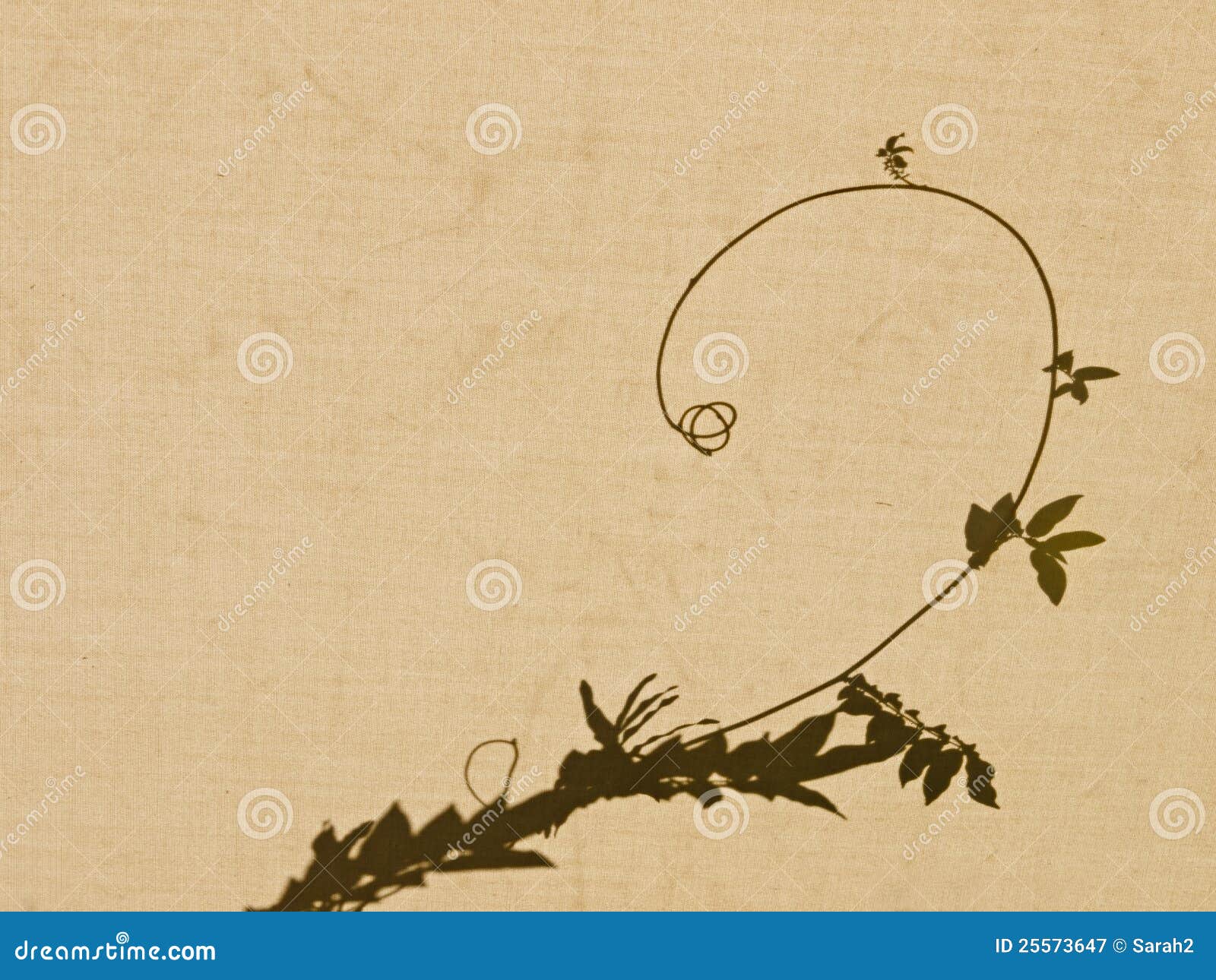 Flower Tendril Shadow on Canvas - Background Stock Image - Image of ...