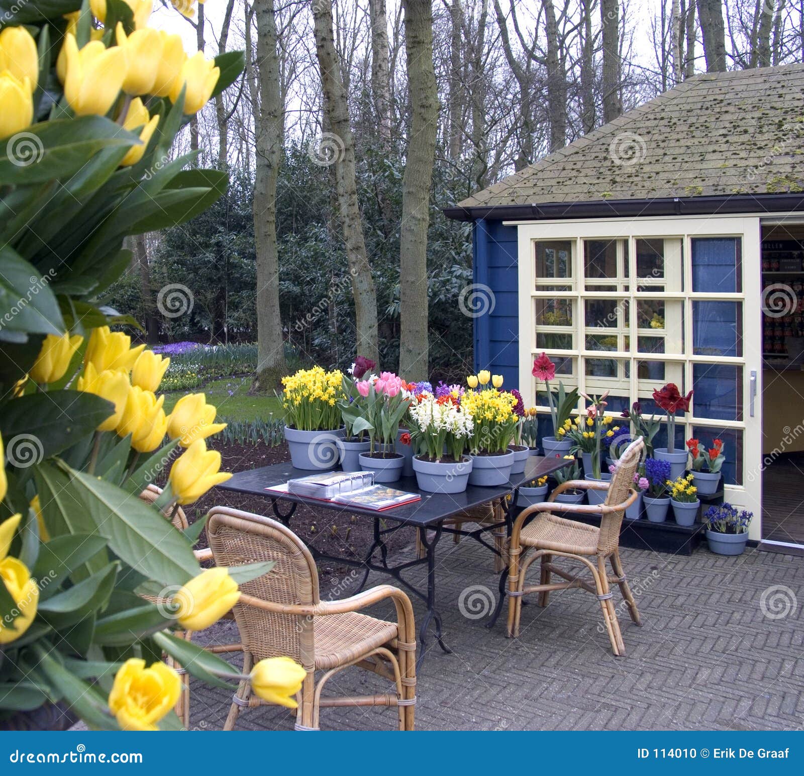 Flower terrace stock photo. Image of spring, gift, keukenhof - 114010