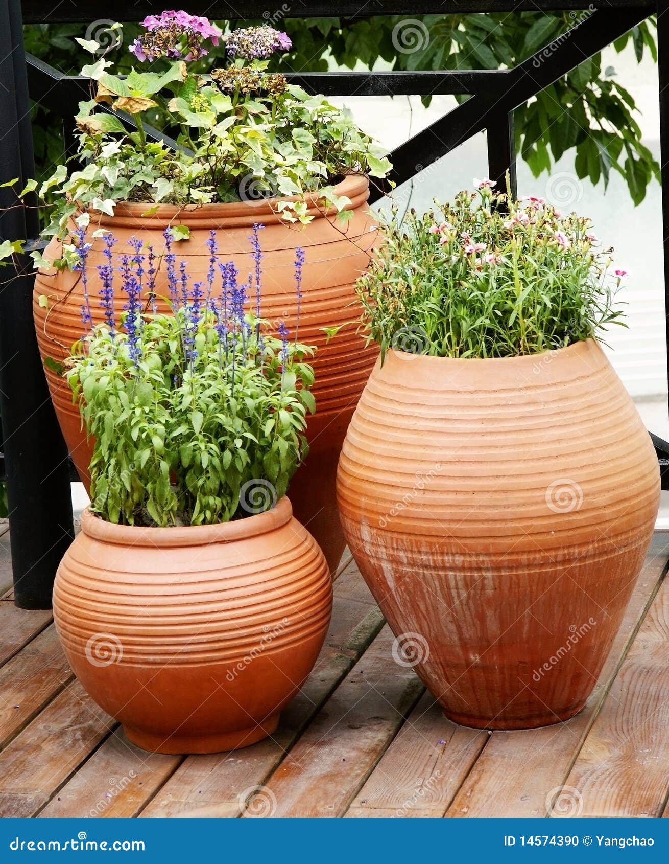 Flower terrace stock photo. Image of yard, argil, terrine - 14574390