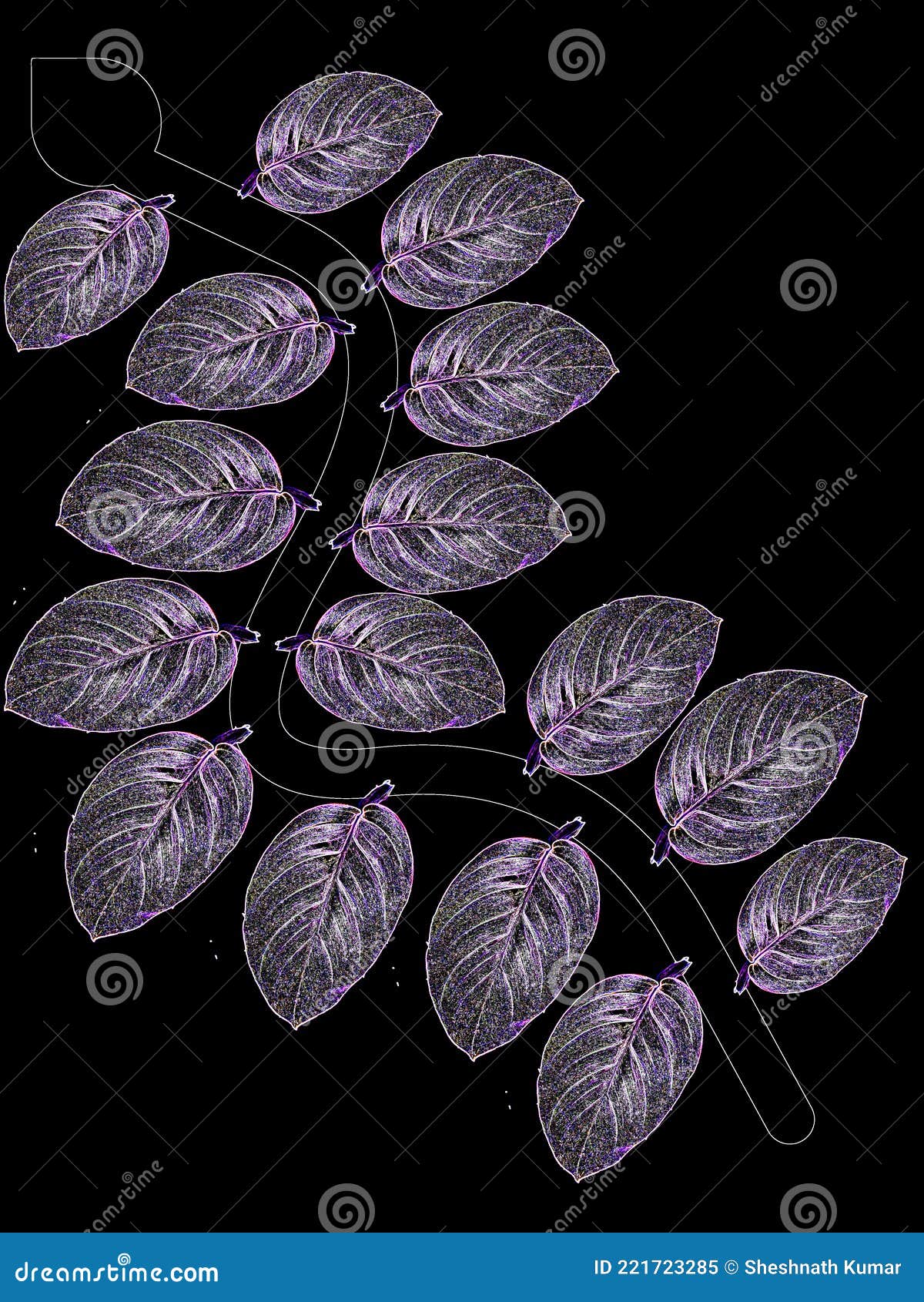 Flower Texture Graphic Design Black Color Background Stock Image ...