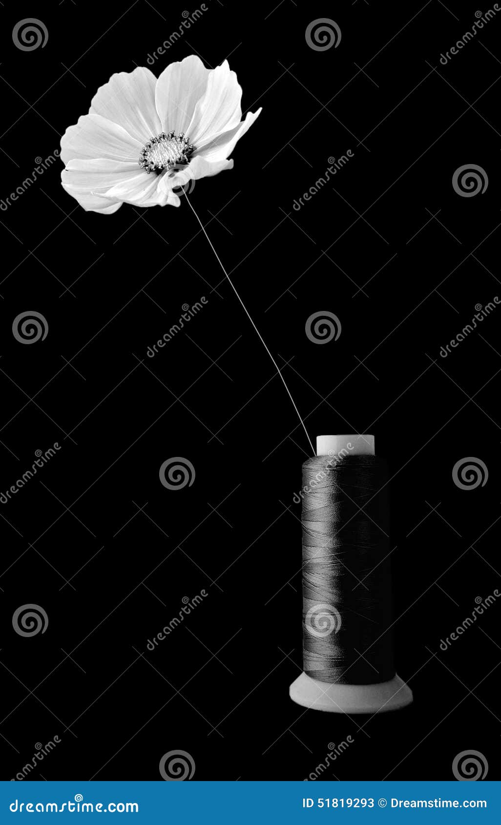 Flower on the thread stock image. Image of idea, nature - 51819293
