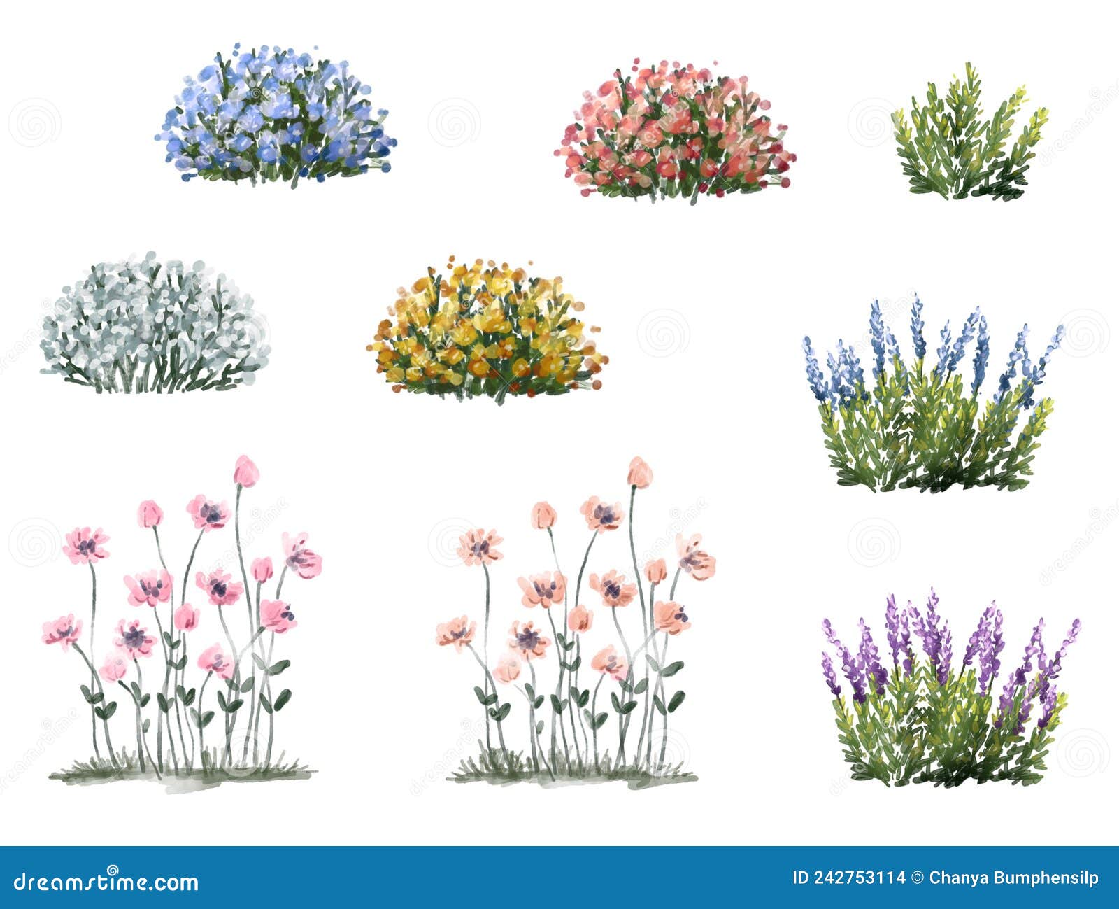 Flower Tree Side View Isolated Stock Photo - Image of environment, view ...