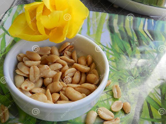 Flower Tulip and nuts stock image. Image of happiness - 67083307