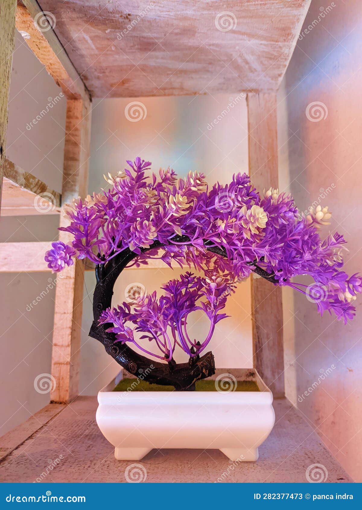 Flower on the vas stock image. Image of sakura, flower - 282377473