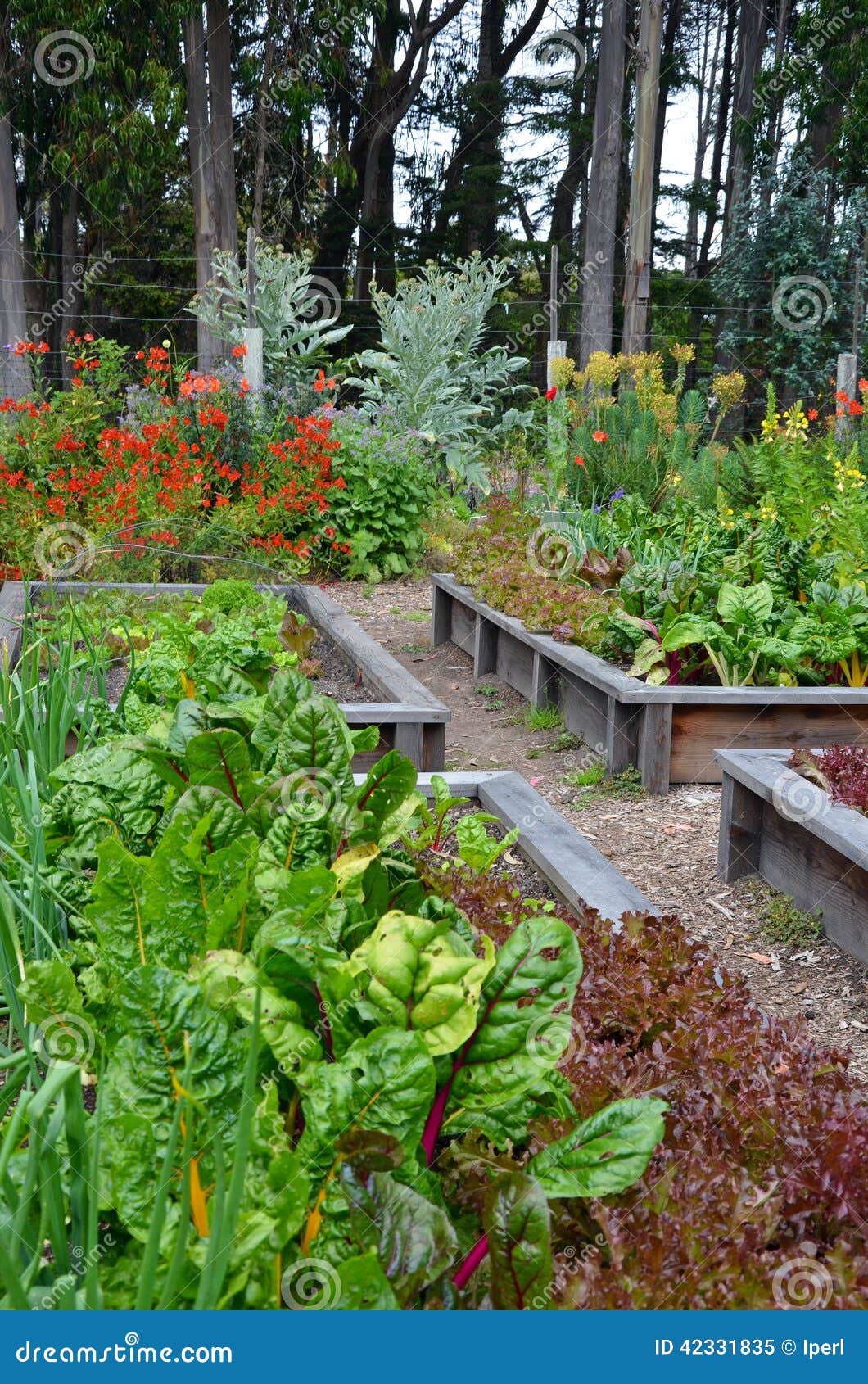 Flower and Vegetable Garden Stock Image - Image of leaves, growth: 42331835