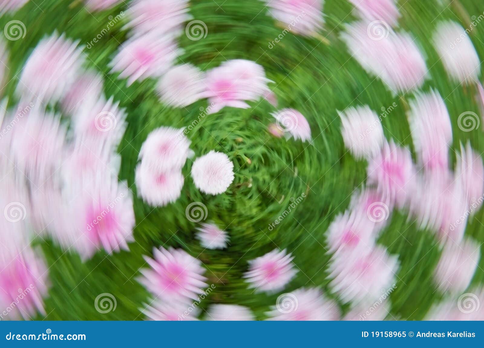 Flower vortex stock image. Image of garden, cyclical - 19158965