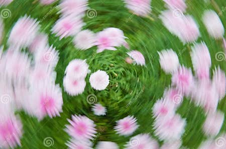 Flower vortex stock image. Image of garden, cyclical - 19158965