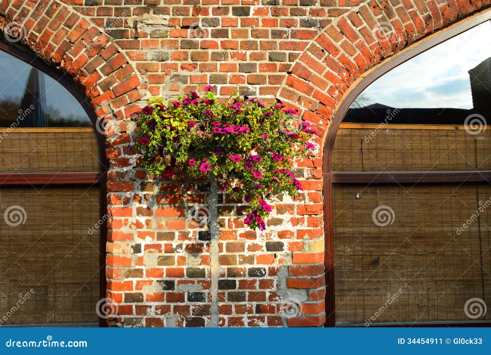 Flower on the wall stock image. Image of brick, blooming - 34454911