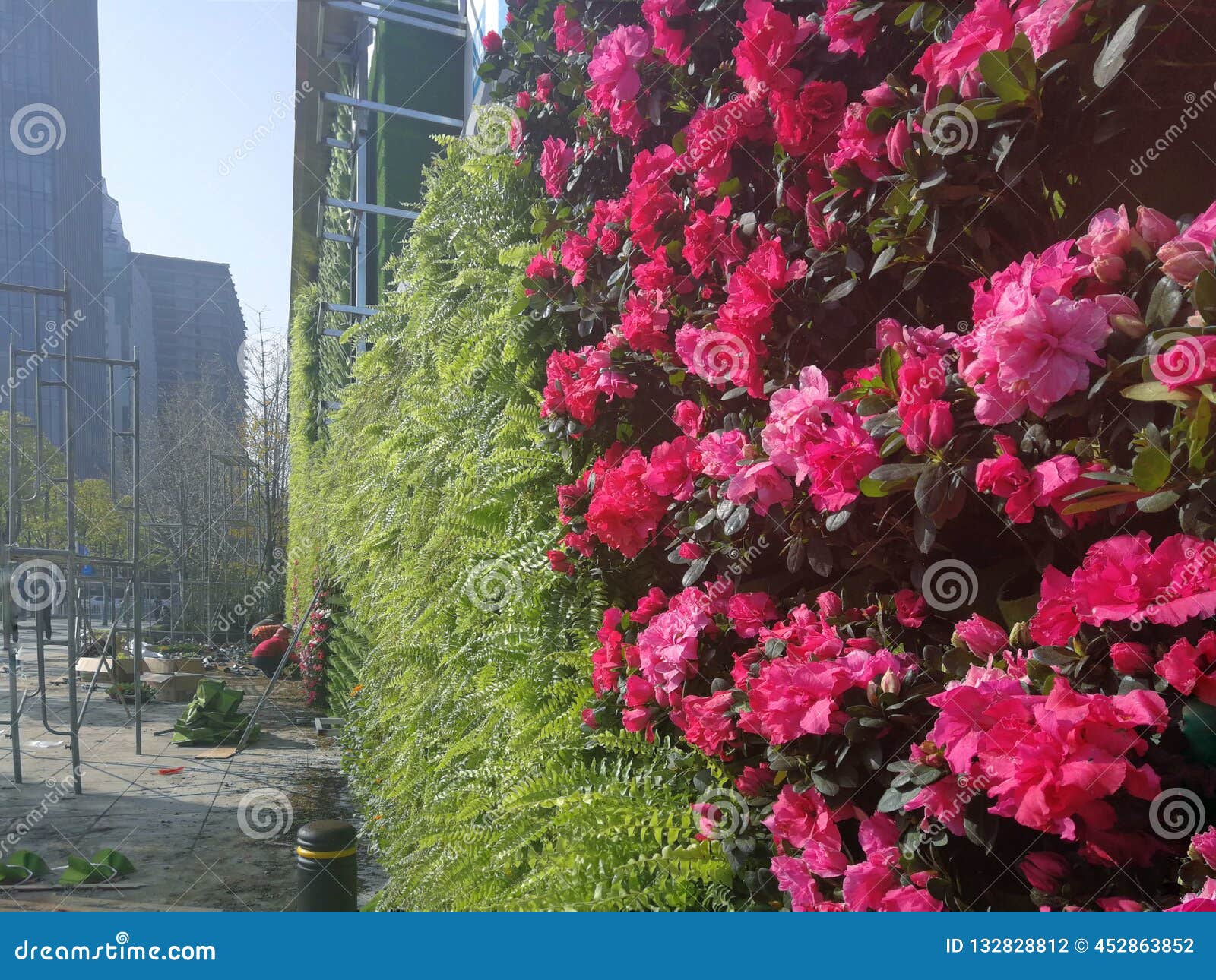 Flower Wall Under Construction Stock Photo - Image of garden, plants ...