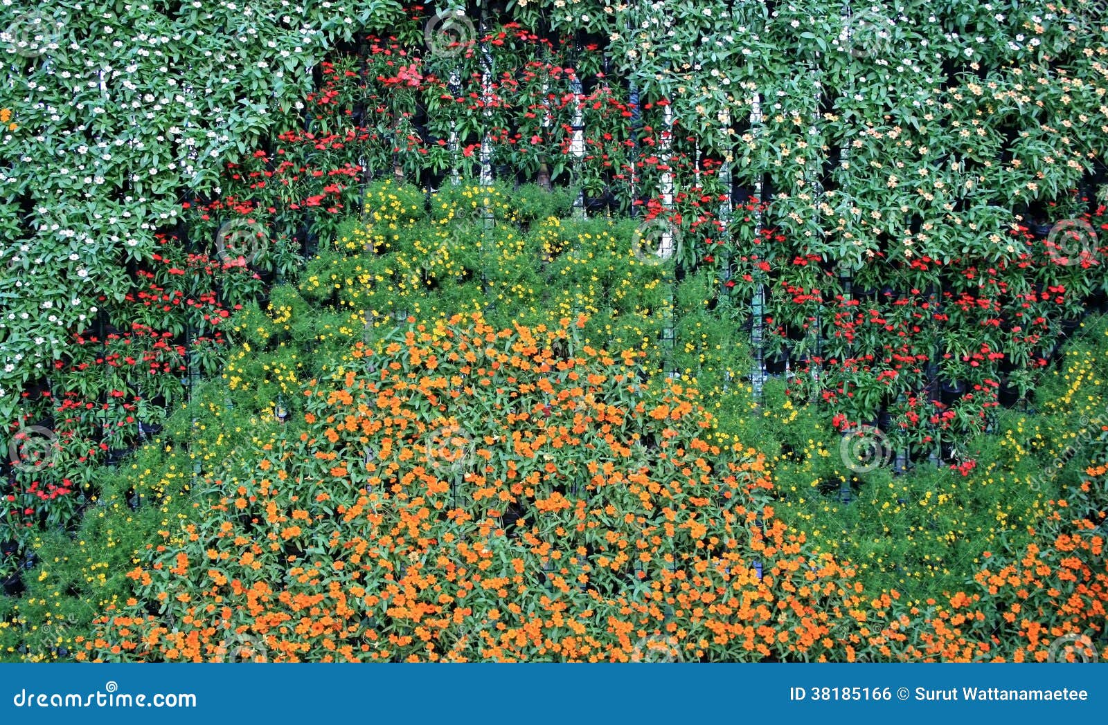 Flower Wall Vertical Garden Stock Photo - Image of tree, fence: 38185166