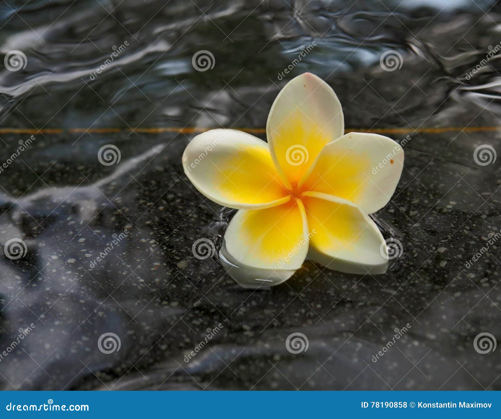 Flower on the water stock photo. Image of frut, glass - 78190858