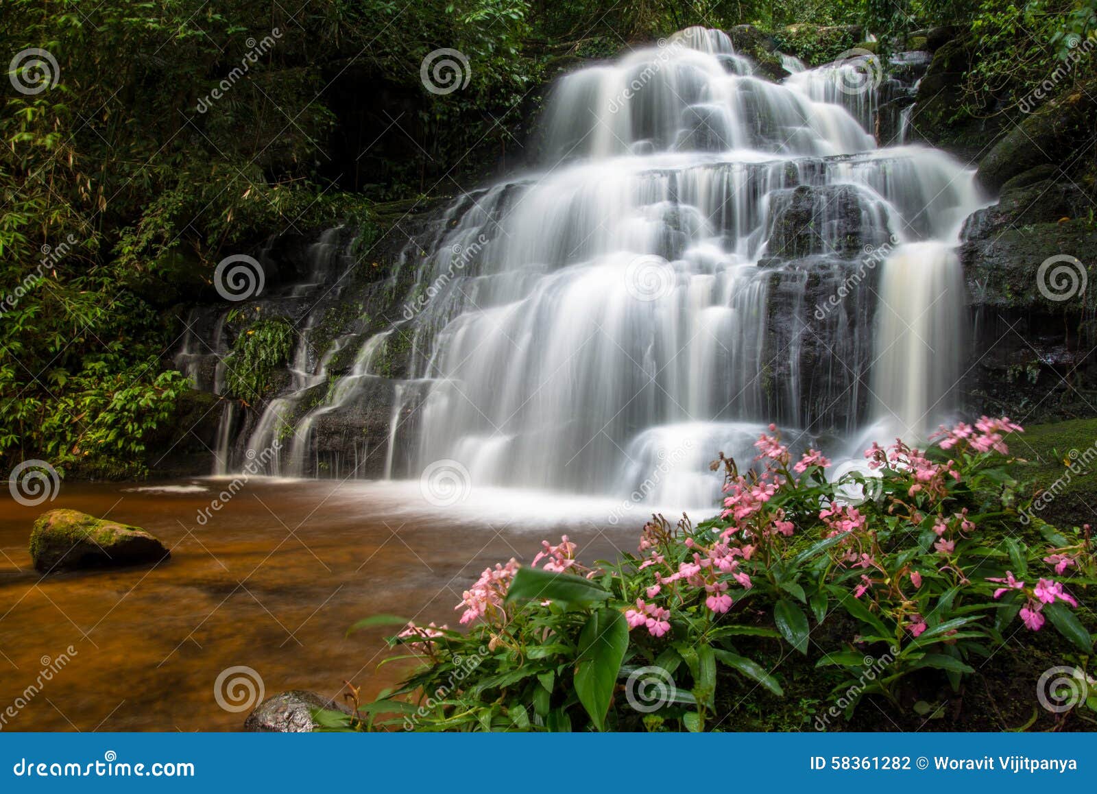 Flower Waterfall stock photo. Image of flow, national - 58361282