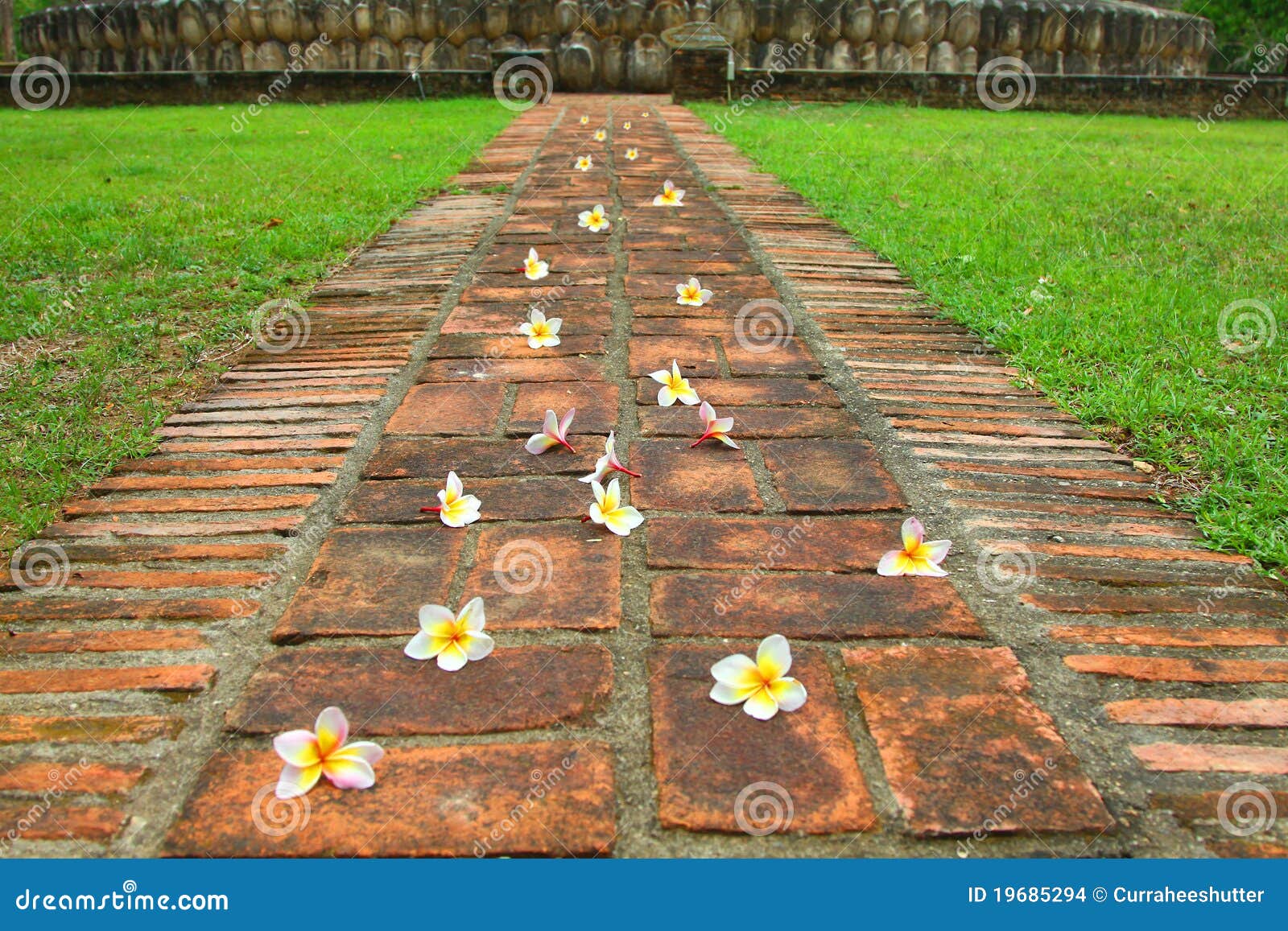 Flower way. stock photo. Image of scenery, rural, adventure - 19685294