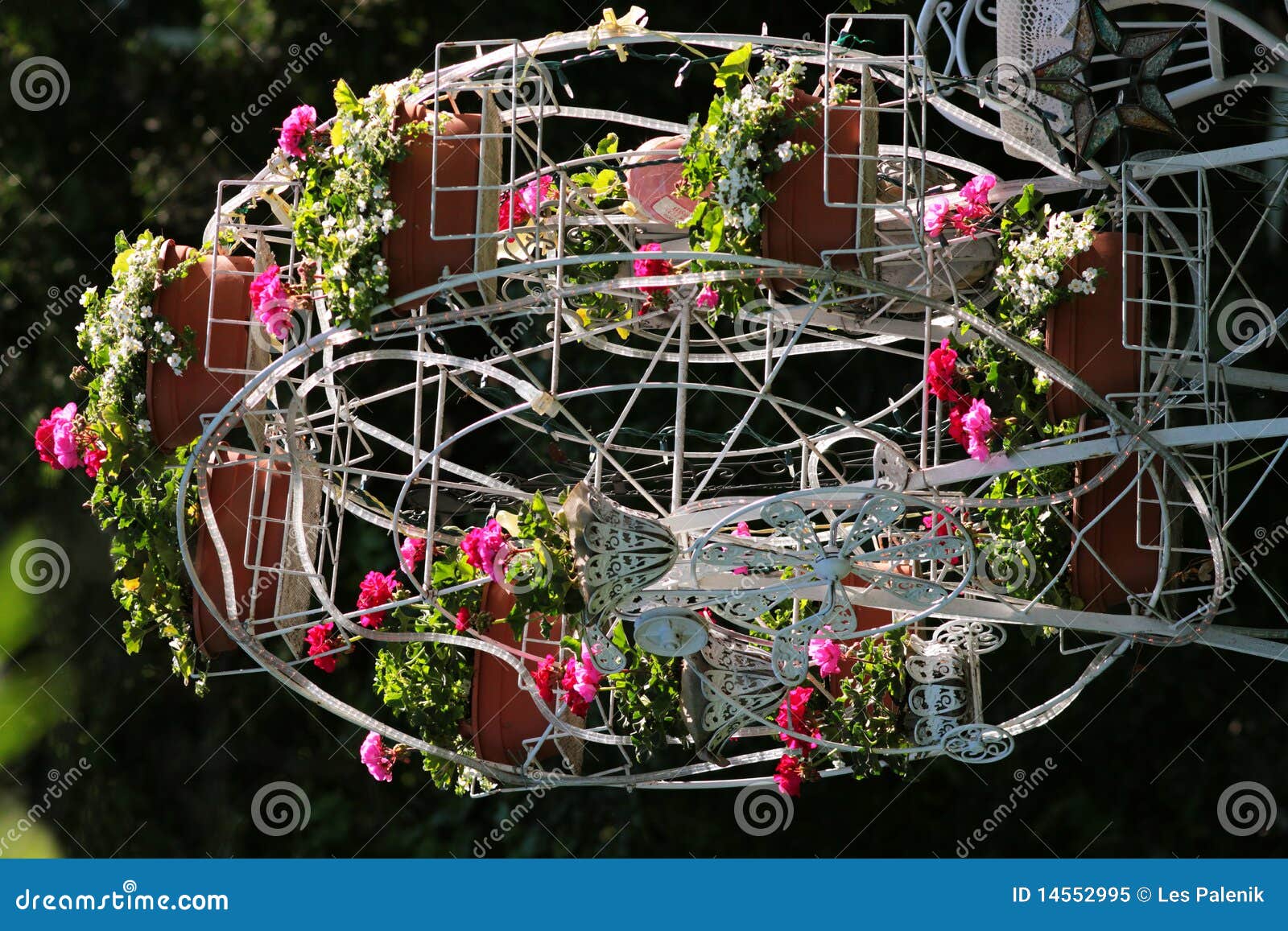Flower wheel stock image. Image of white, vertical, flower - 14552995