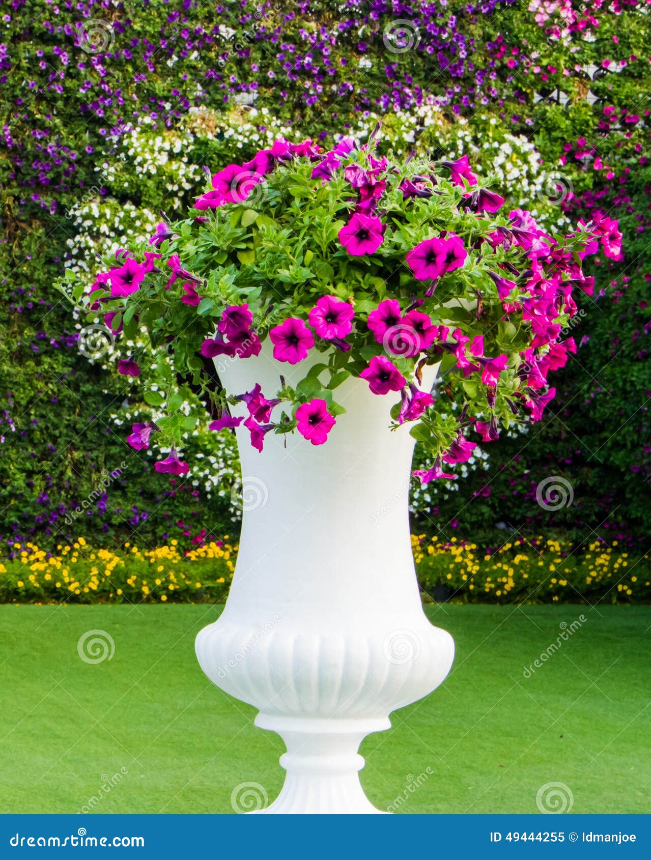 Flower in white vase stock image. Image of beauty, asian - 49444255