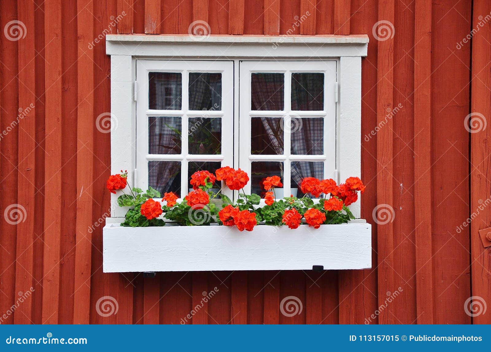 Flower, Window, Home, Floristry Picture. Image: 113157015