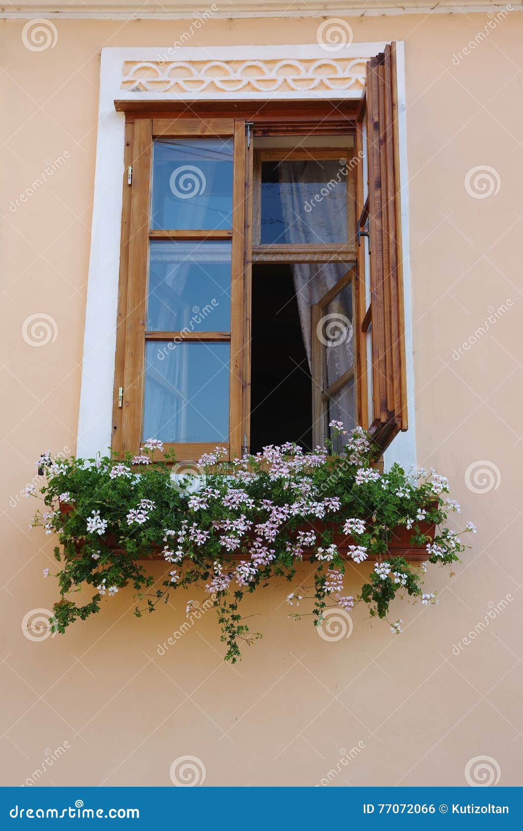 Flower windows stock photo. Image of florescence, arrangement - 77072066