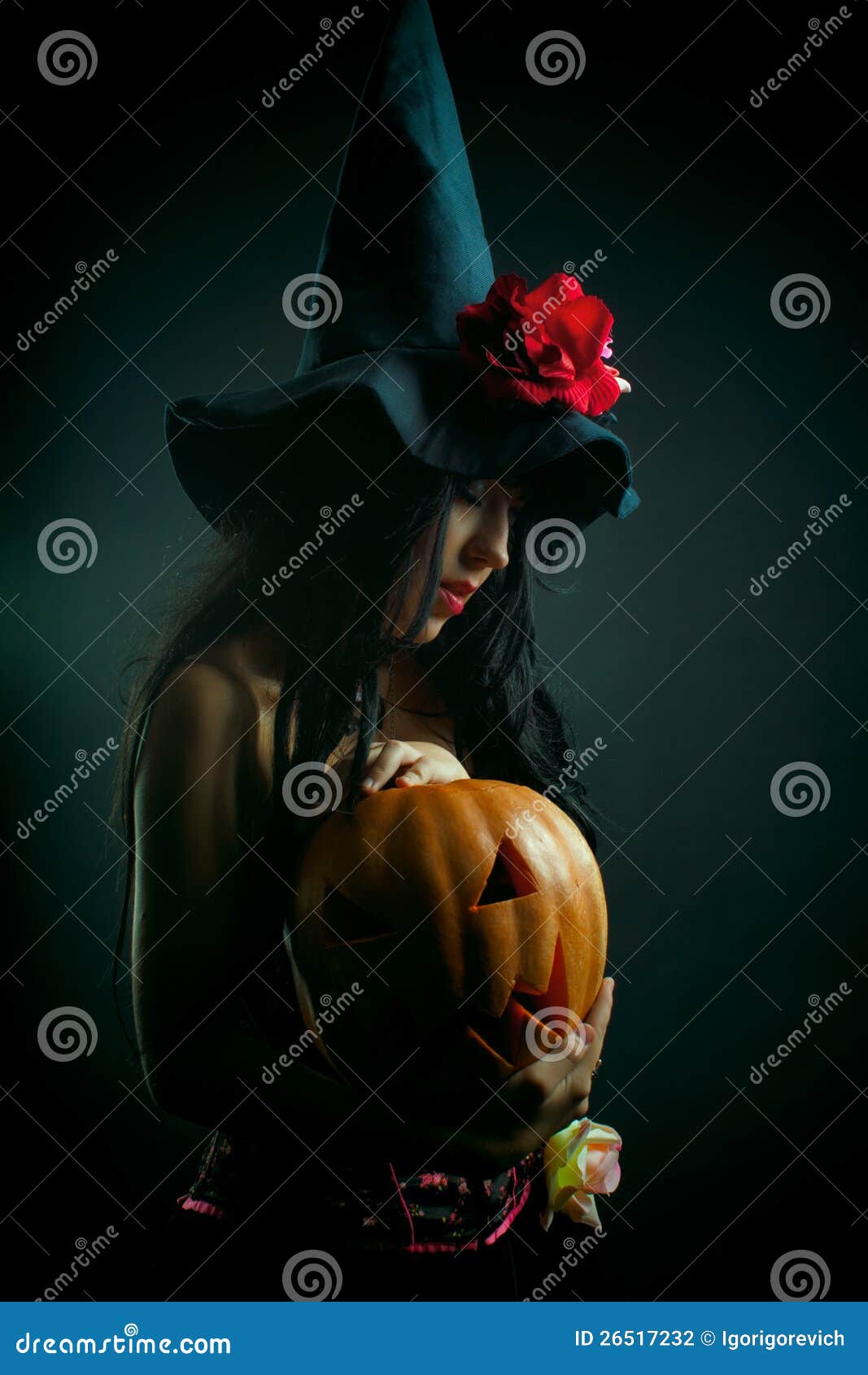 Flower witch stock photo. Image of young, holiday, sorcery - 26517232
