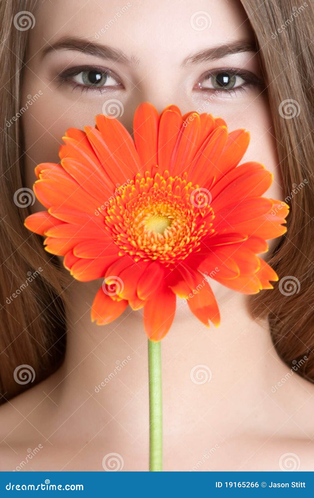 Flower Woman stock photo. Image of girls, daisies, attractive - 19165266