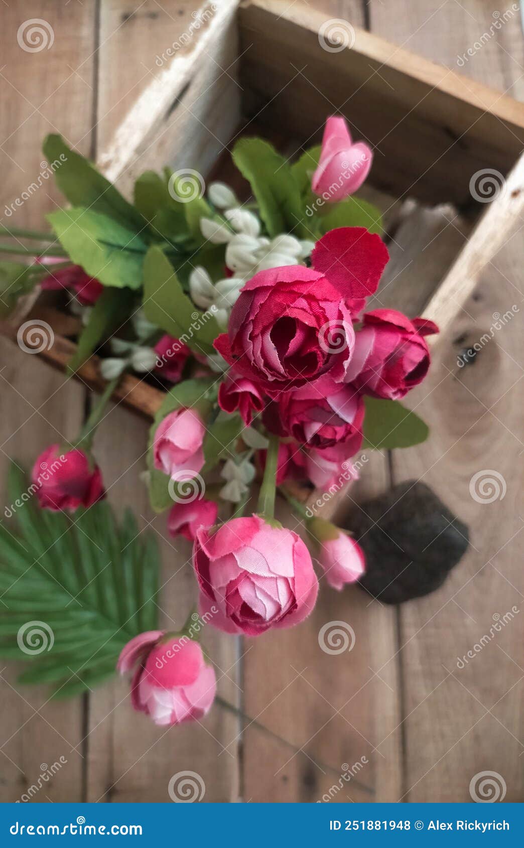 Flower in the Wood Box Take from Top View Stock Photo - Image of ...