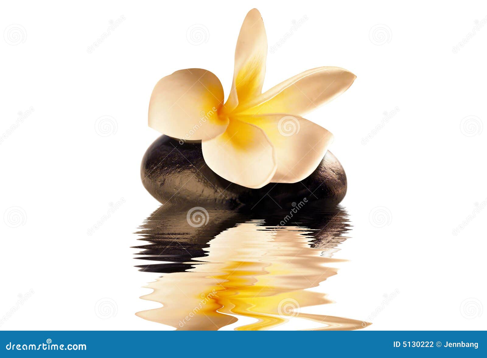 Flower zen stock photo. Image of health, abstract, idea - 5130222