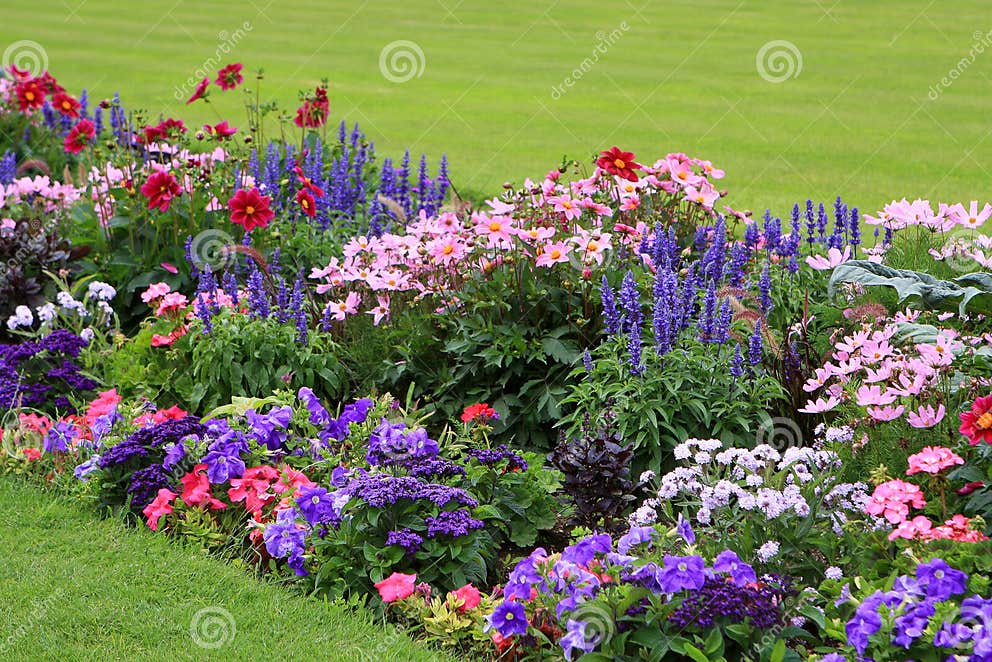 Flowerbed stock photo. Image of nature, scenery, color - 15436604