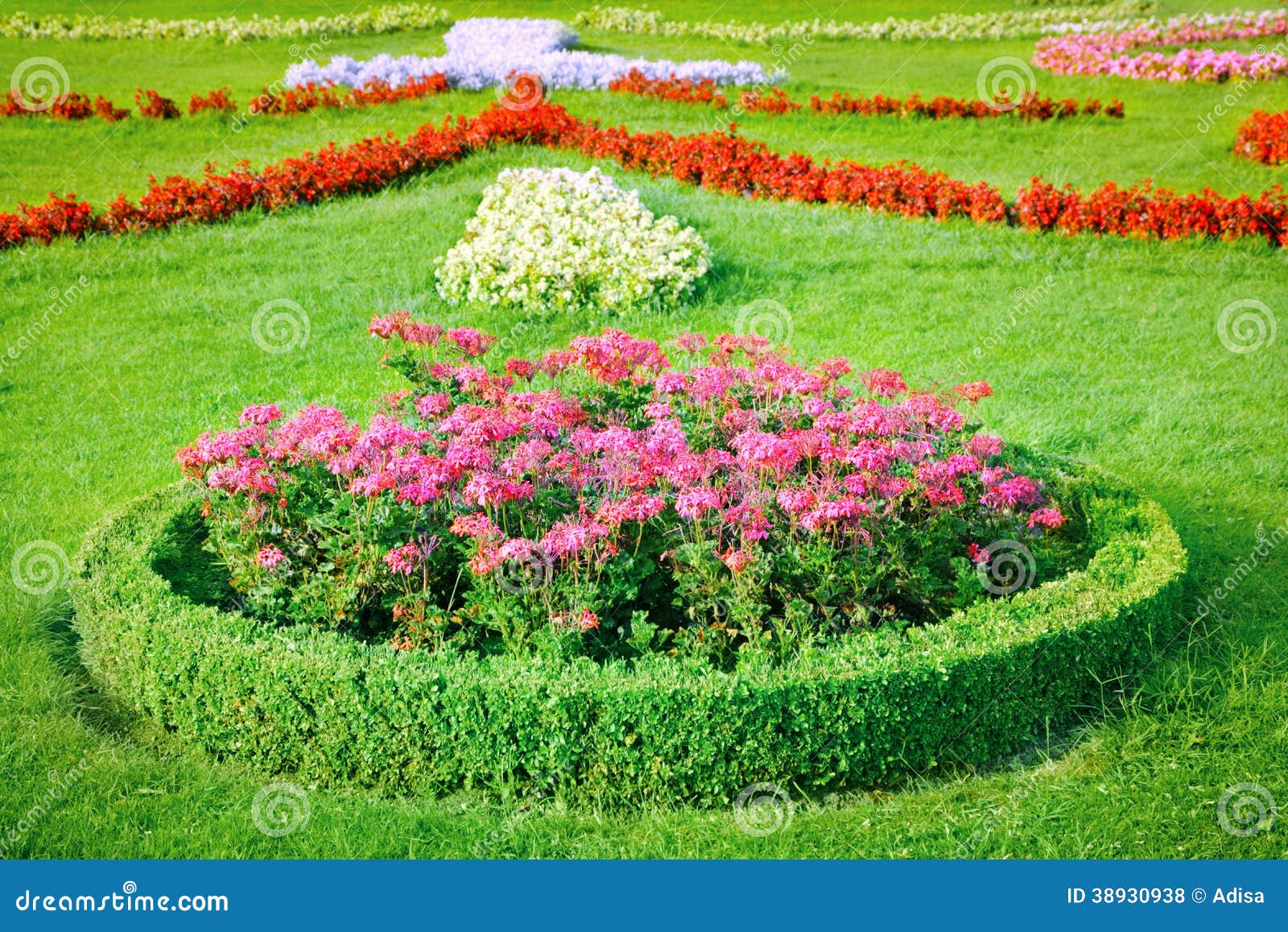 Flowerbed stock photo. Image of beauty, floral, botanic - 38930938
