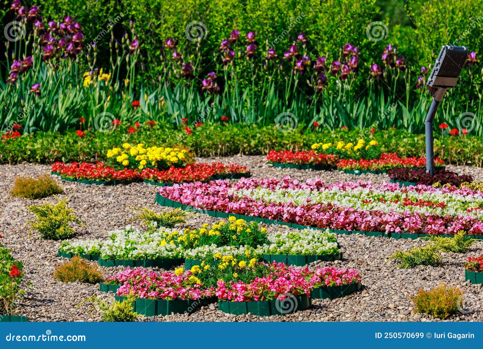 Flowerbeds of Decorative Floriculture in an Urban Environment ...