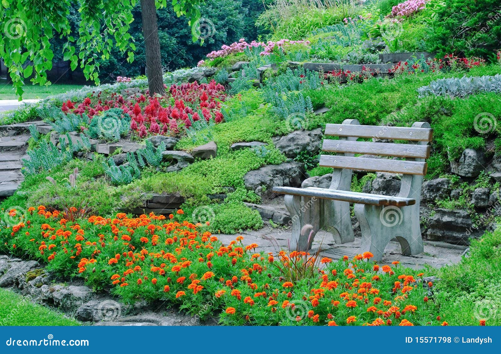 Flowerbeds, Decorative Plants in a Park Stock Photo - Image of orange ...