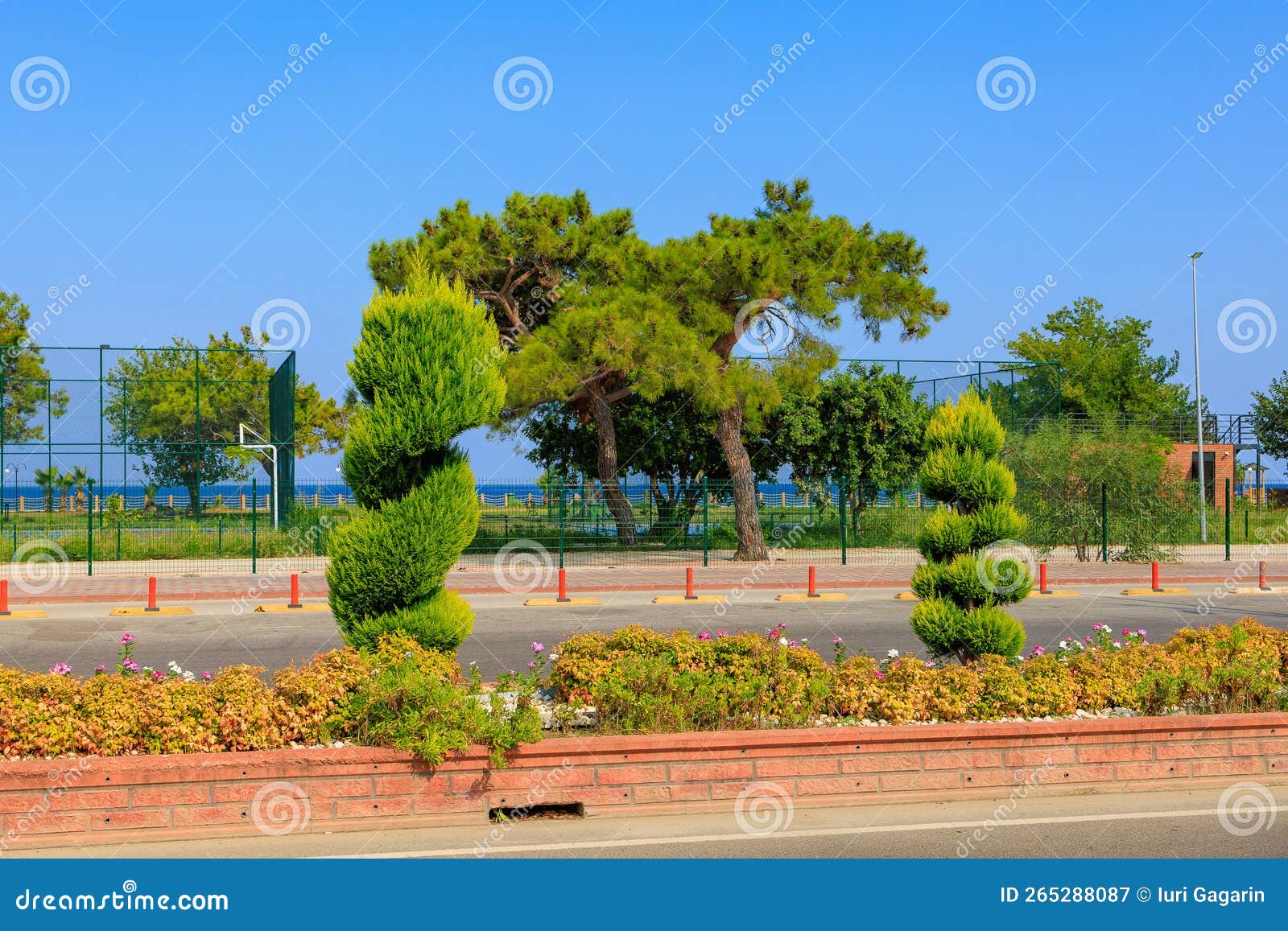 Flowerbeds on the Road Divider. Background with Copy Space Stock Image ...