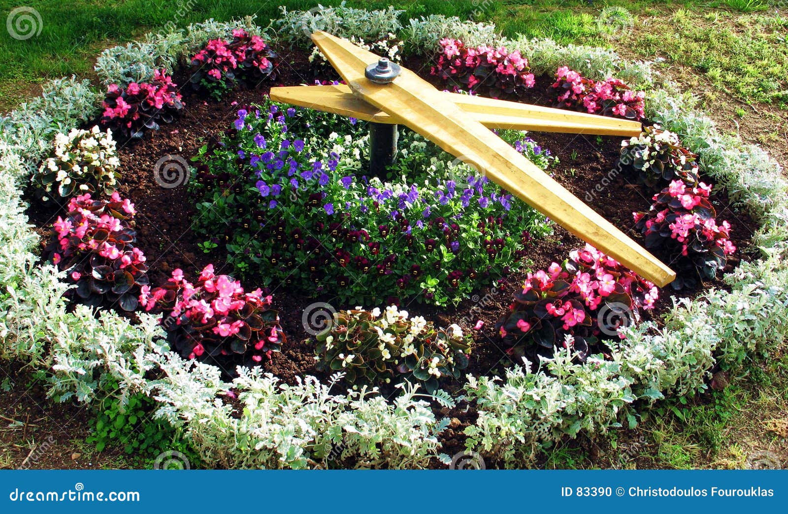 FlowerClock stock photo. Image of fourouklas, botanical - 83390