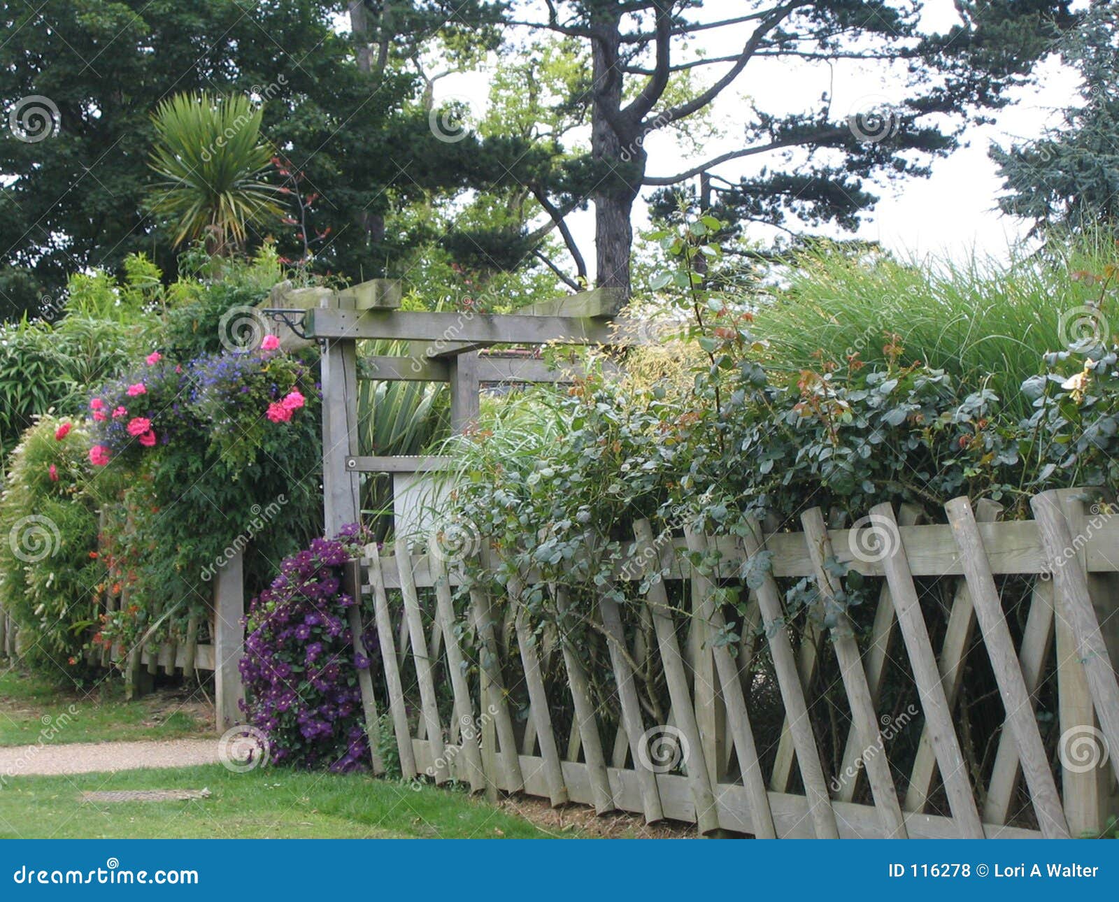 Flowered Fence stock photo. Image of trellis, hand, maze - 116278