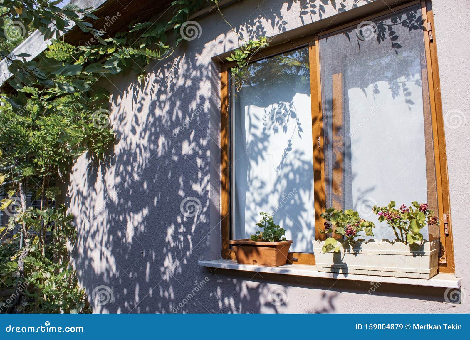 Flowered Window of Garden House, Natural Background Stock Image - Image ...