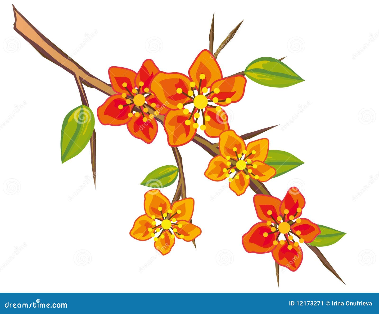 Flowering branch stock vector. Illustration of ecology - 12173271