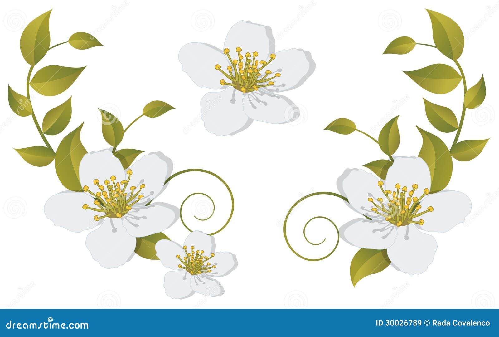 Flowering Branch - Design Elements Stock Vector - Illustration of ...