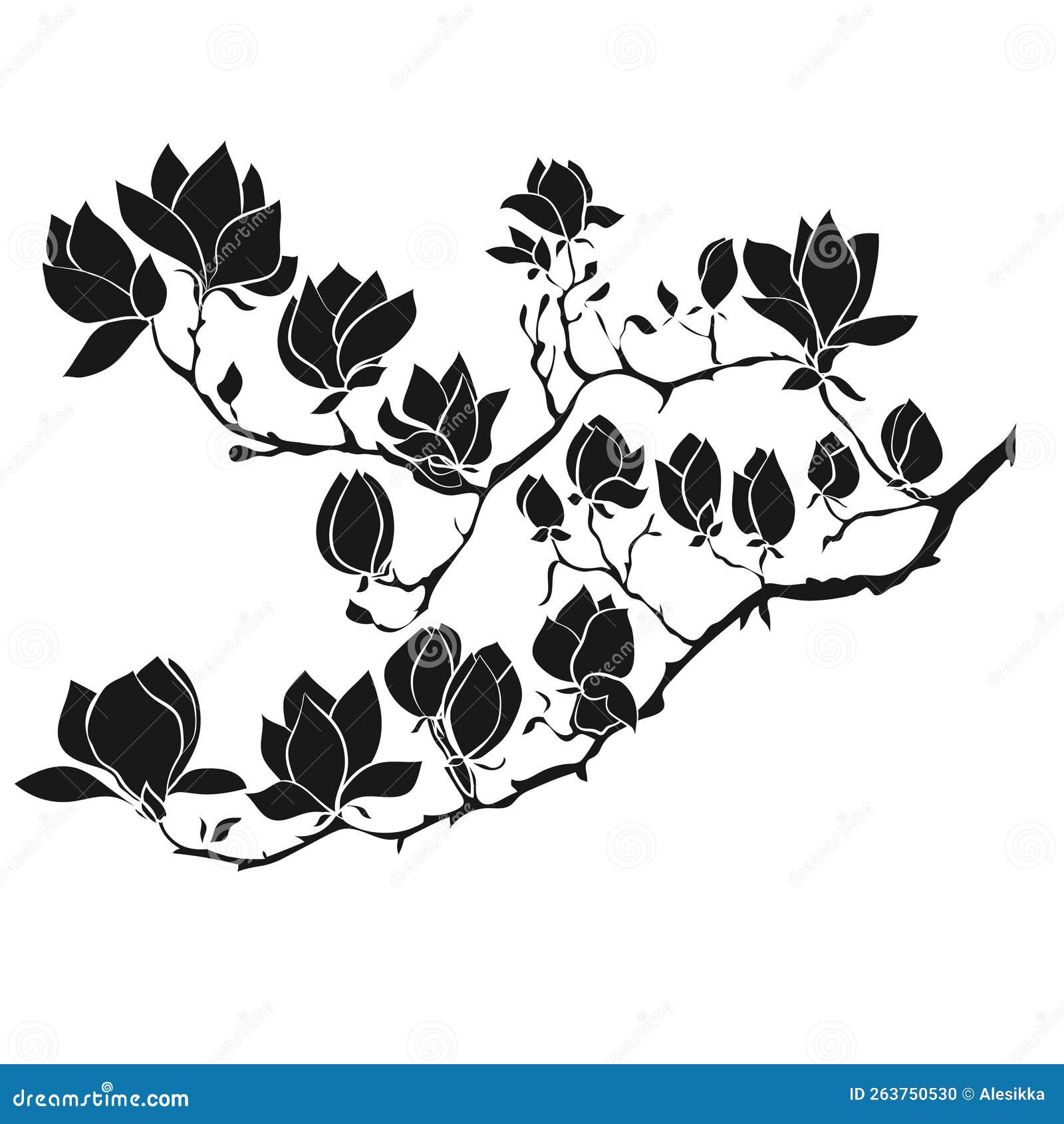 Flowering Branch of Magnolia on White Background Vector Illustration ...
