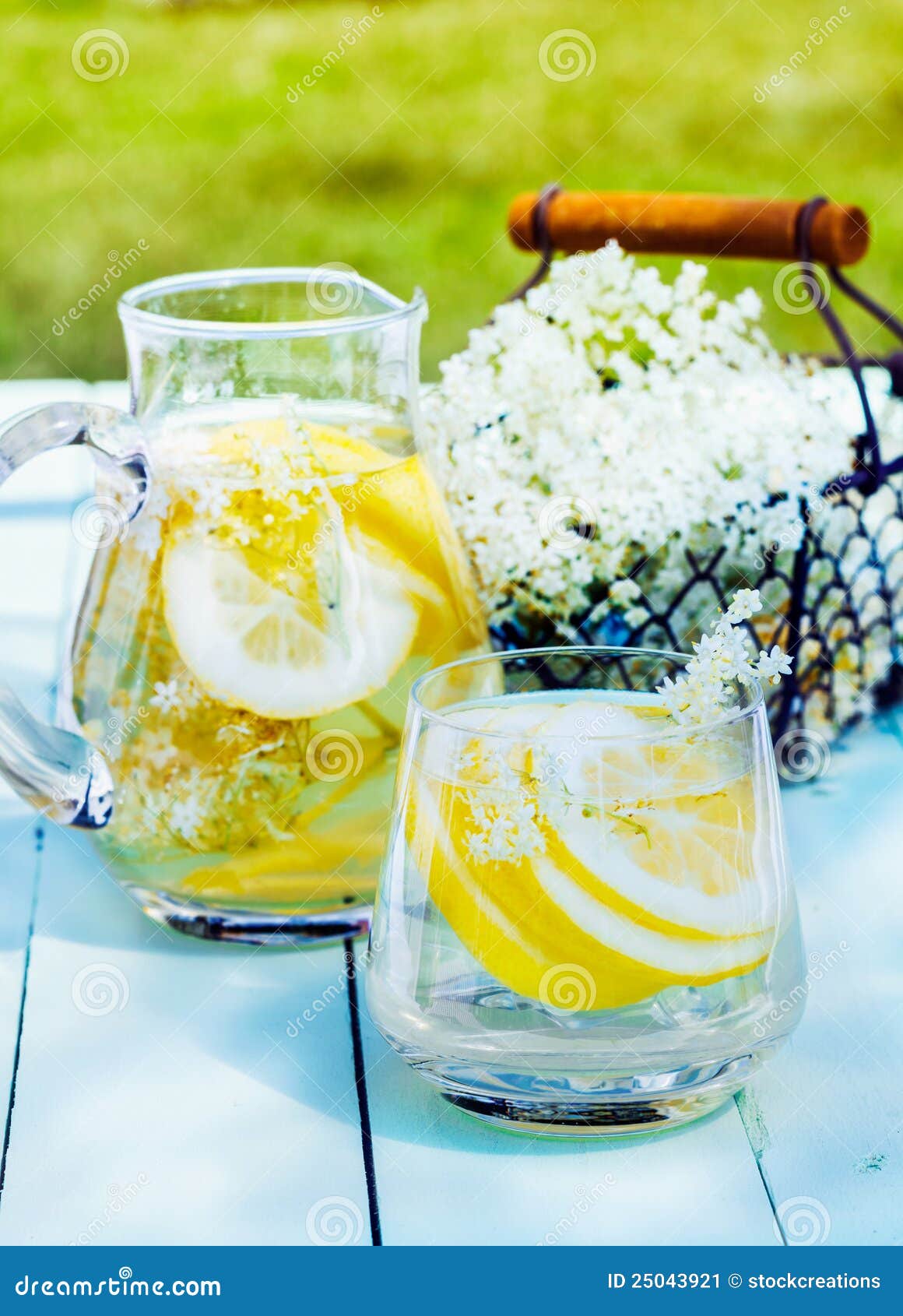 Flowering Cedar stock image. Image of blooming, italian - 25043921