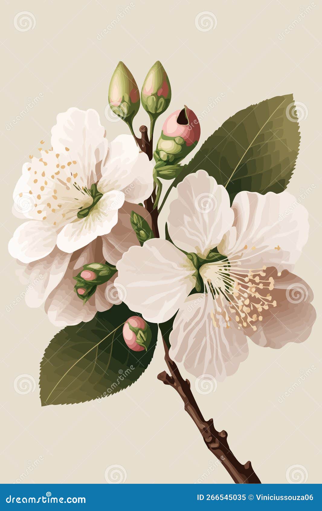 Flowering Cherry Angiosperm Tree Stock Vector - Illustration of botany ...