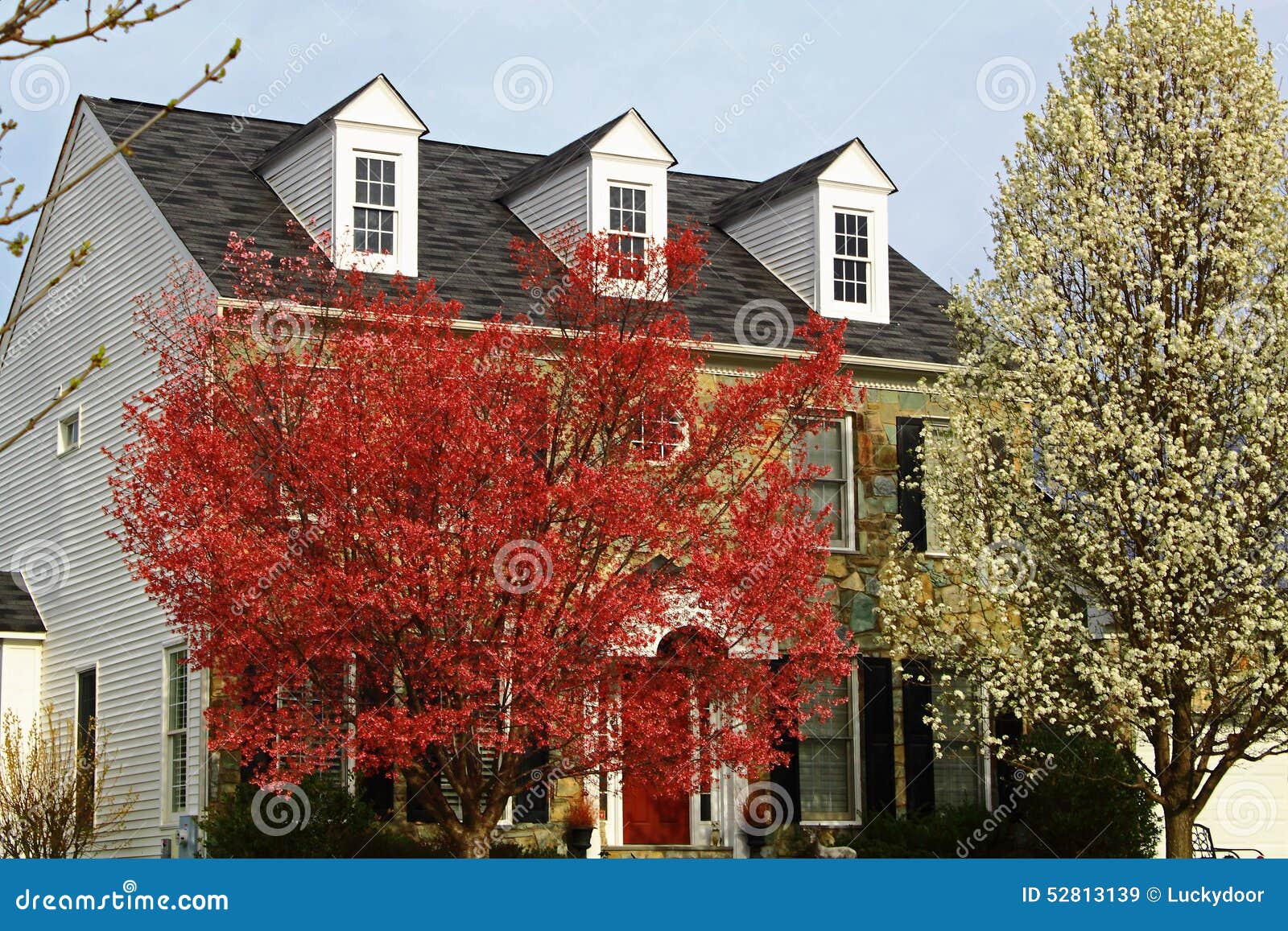 Flowering Home stock image. Image of house, time, homes - 52813139
