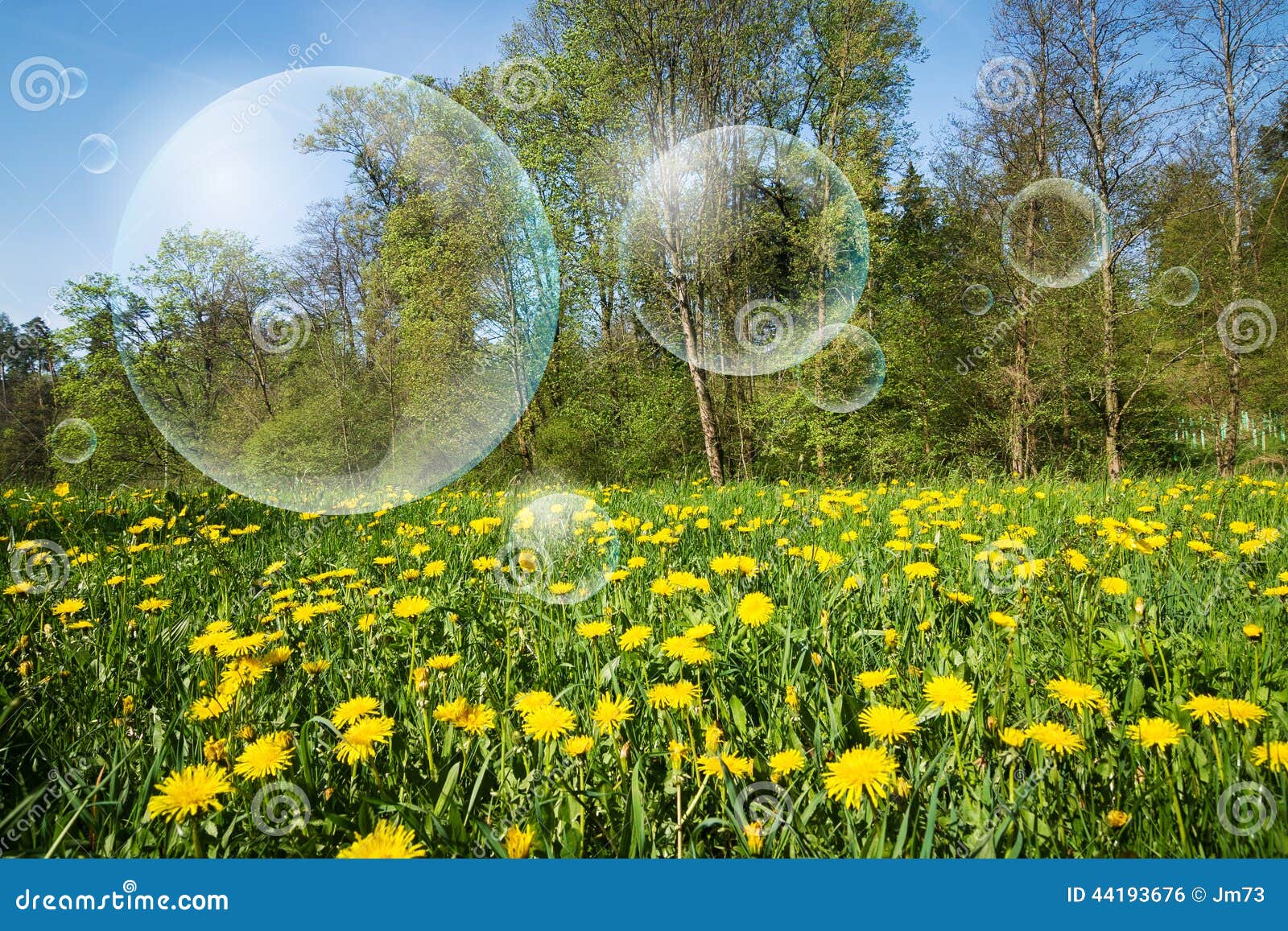 Flowering Meadow and Flying Bubbles Stock Photo - Image of summer ...