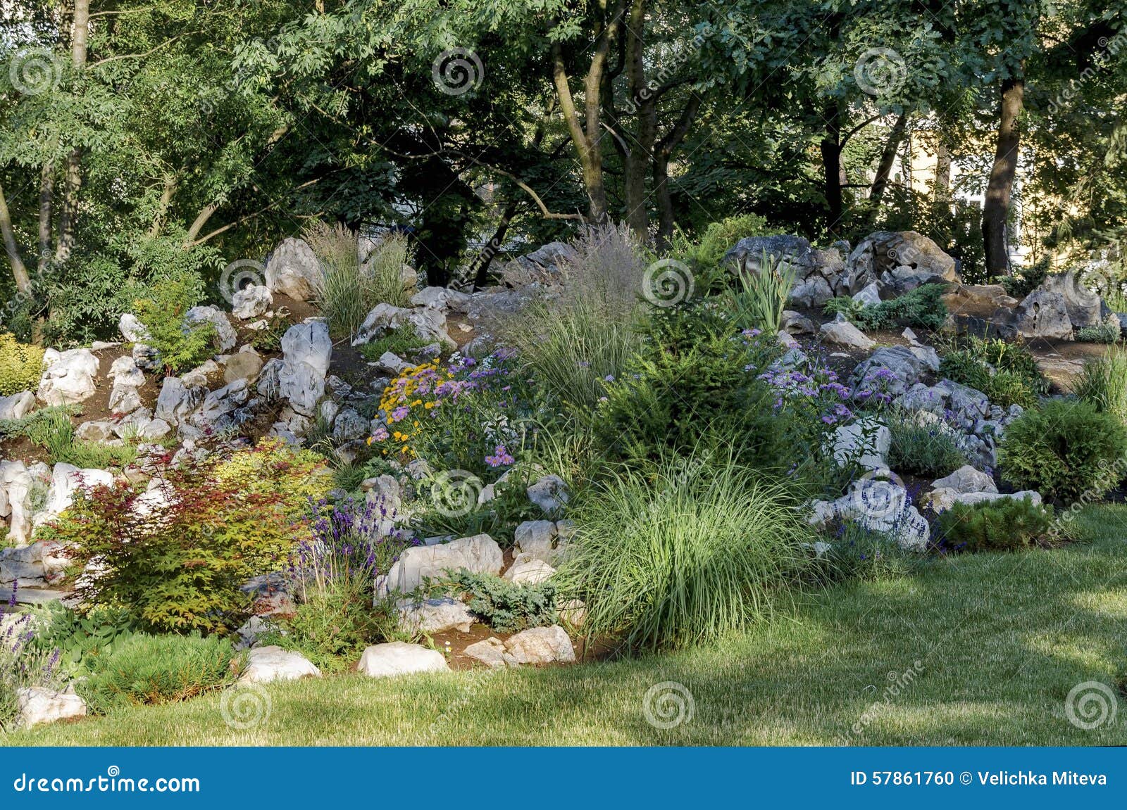 Flowering Rock Garden or Rockery in Spring Stock Photo - Image of ...