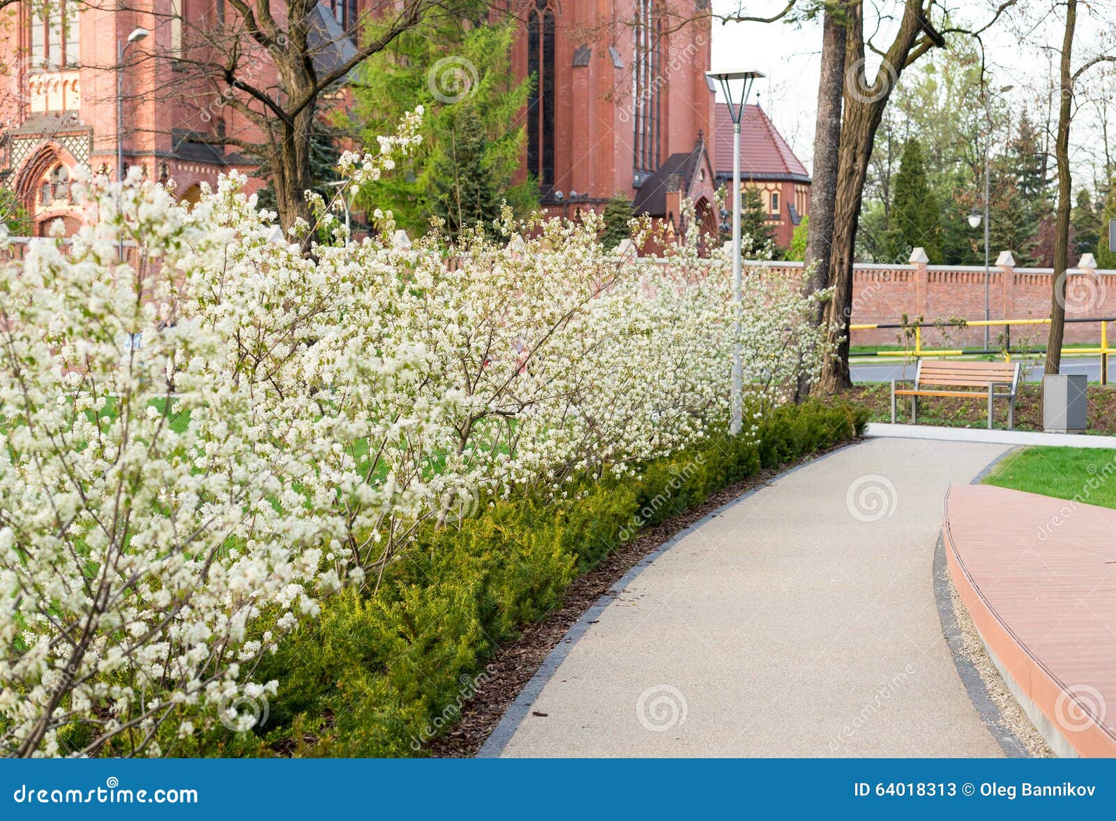 Flowering Shrubs on the Street Stock Image - Image of summer, house ...
