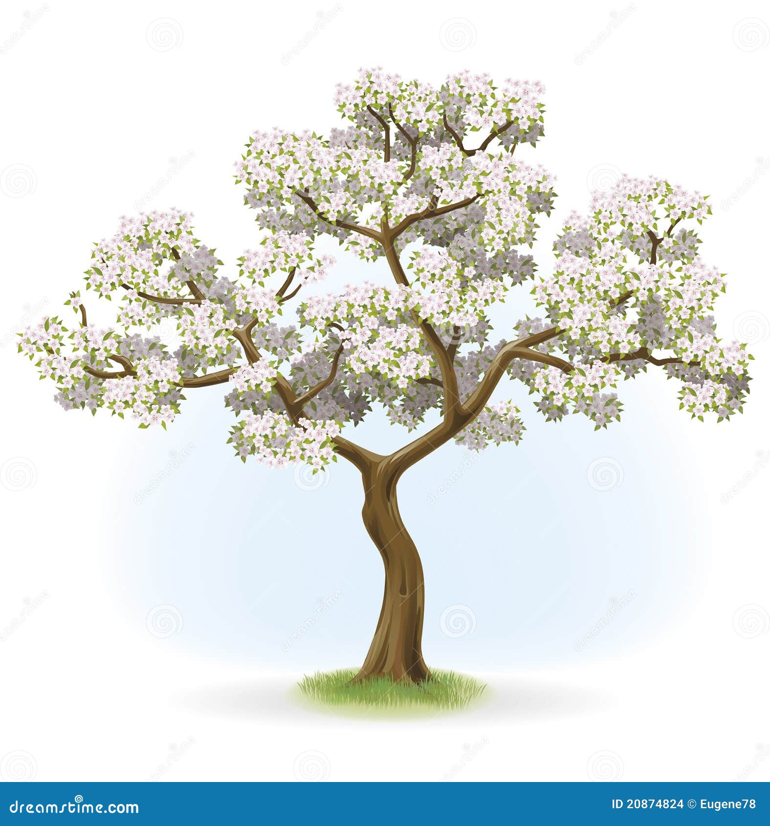 Flowering tree stock vector. Illustration of nature, spring - 20874824