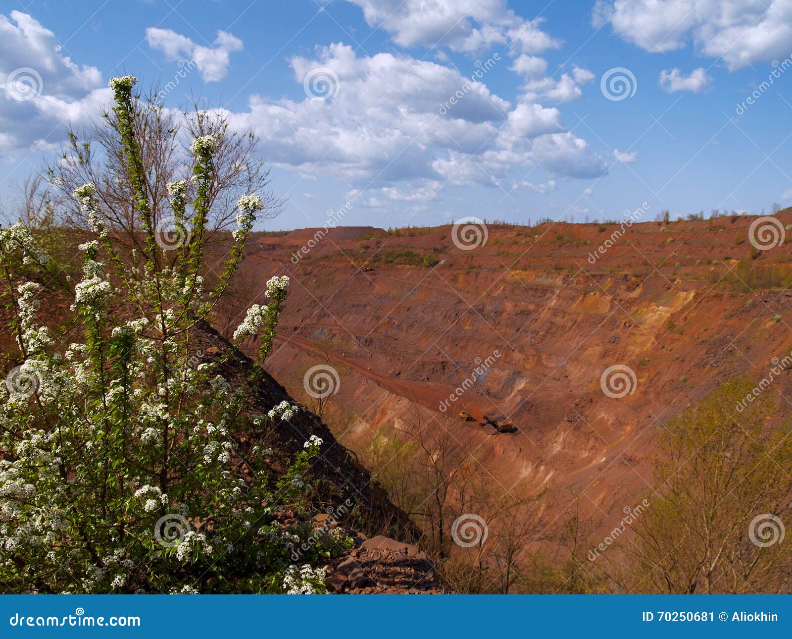 Flowering Tree and Open-pit Mining Stock Image - Image of iron ...