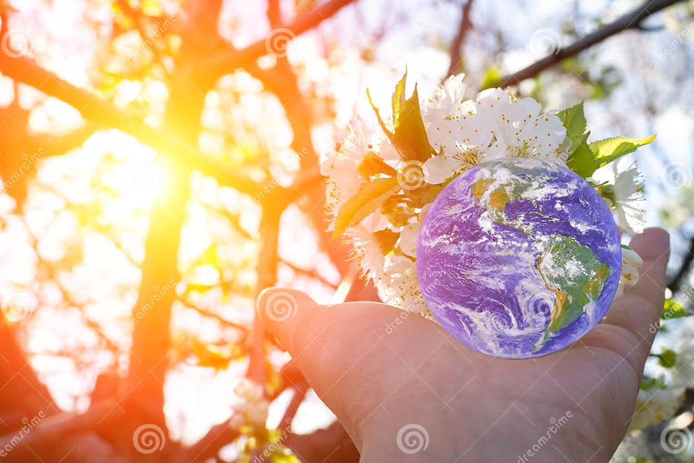 Flowering Tree with the Planet Earth. Beginning of Spring on the Planet ...