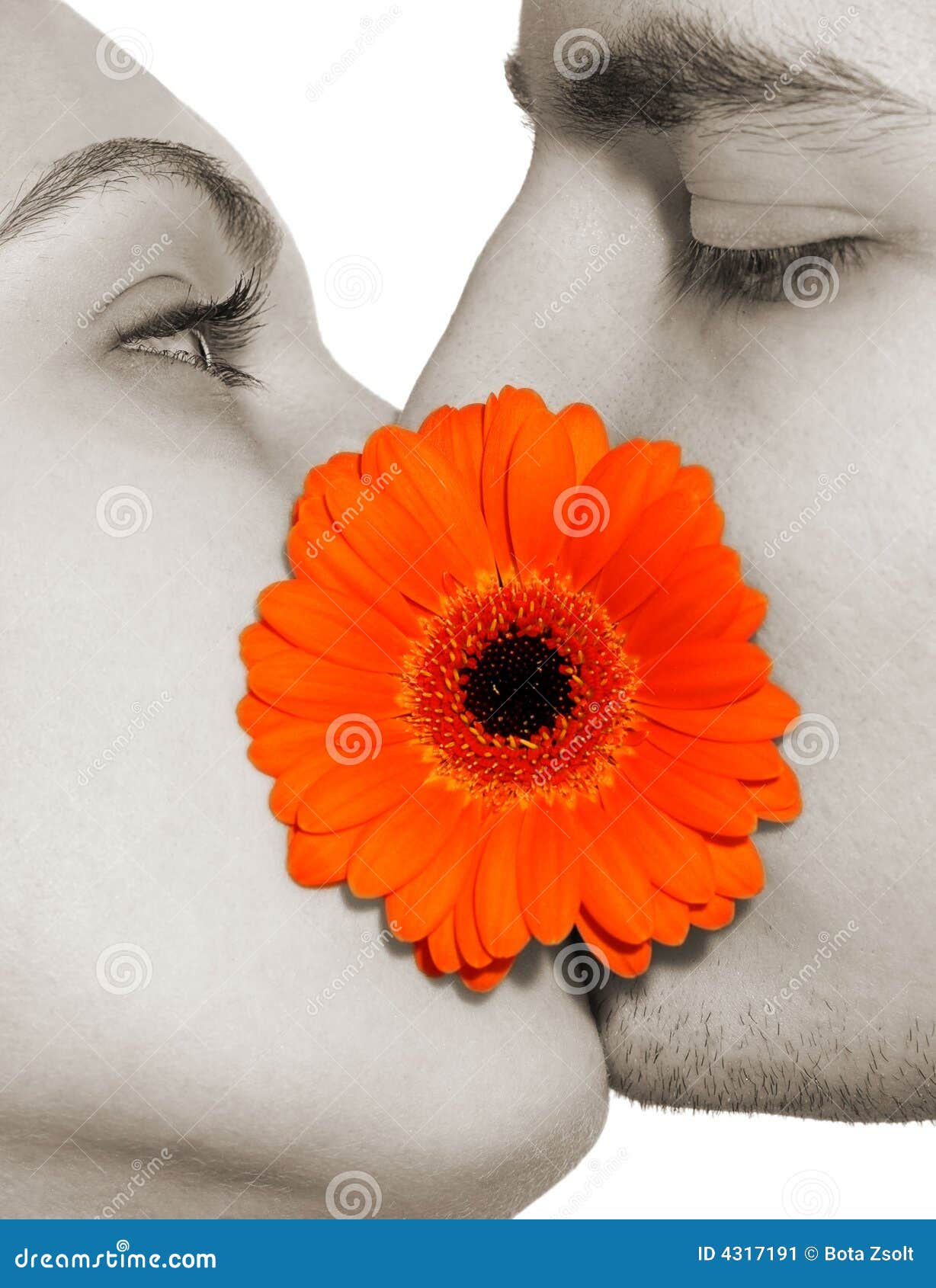 Flowerkiss stock image. Image of lovely, friendship, pretty - 4317191