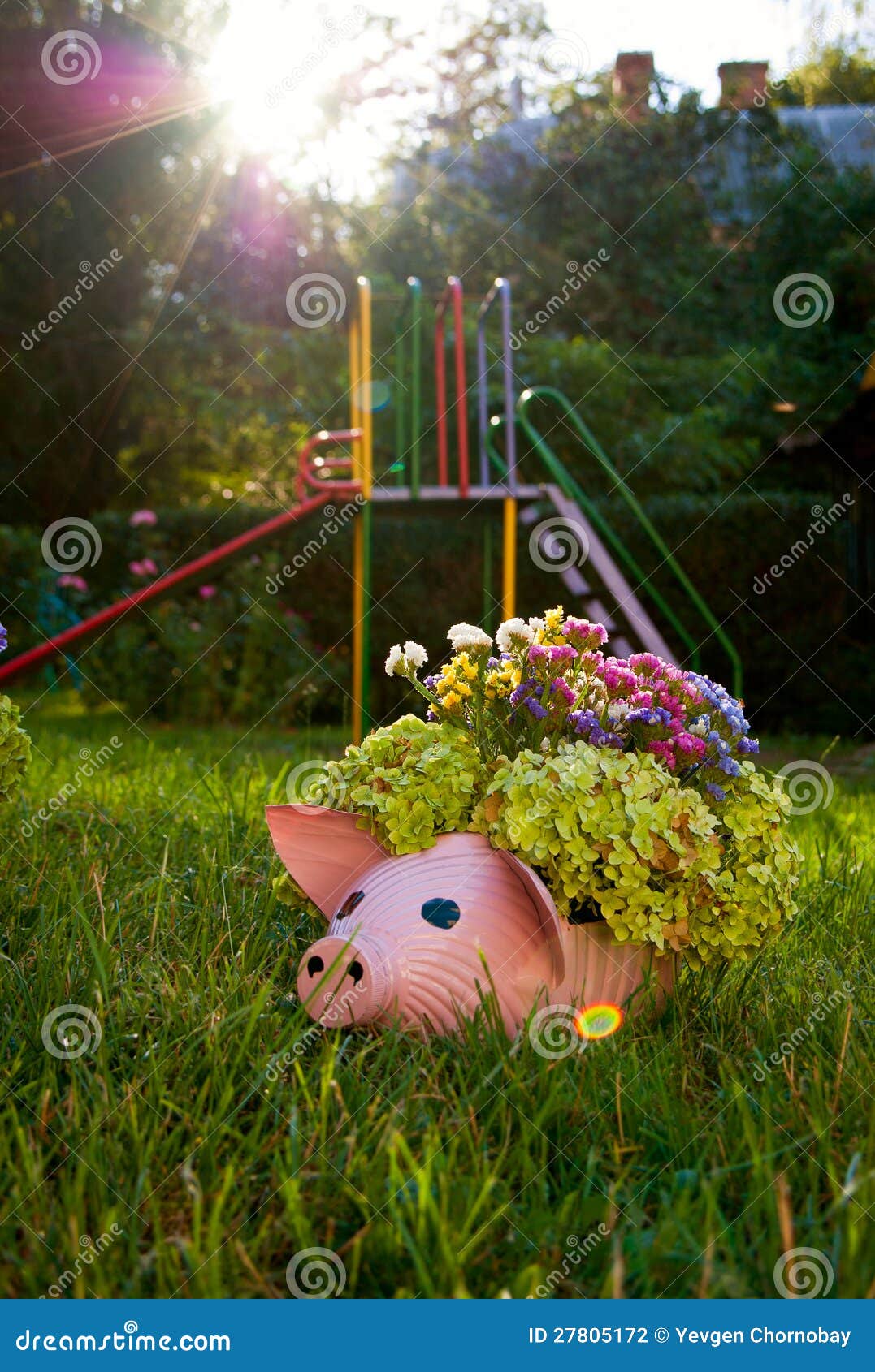Flowerpot the Form of Pig on Grass Stock Photo - Image of spring ...
